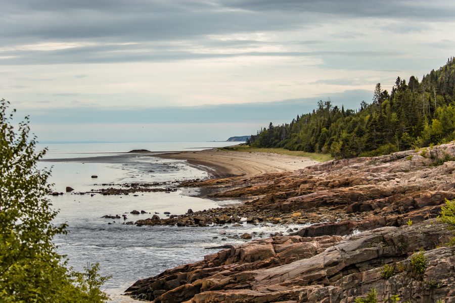 Les attraits à découvrir - Forestville