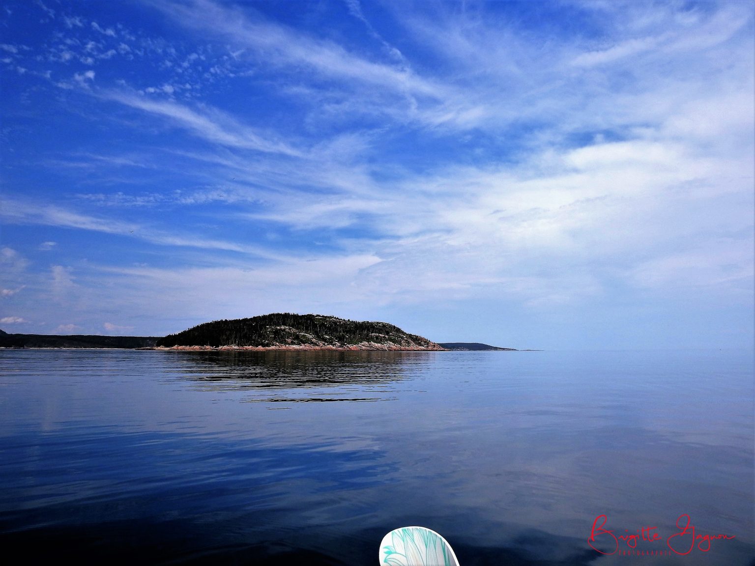 Randonnée et observation - Forestville